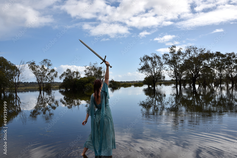 Poster Portrait of beautiful girl wearing flowing fantasy gown in a ...