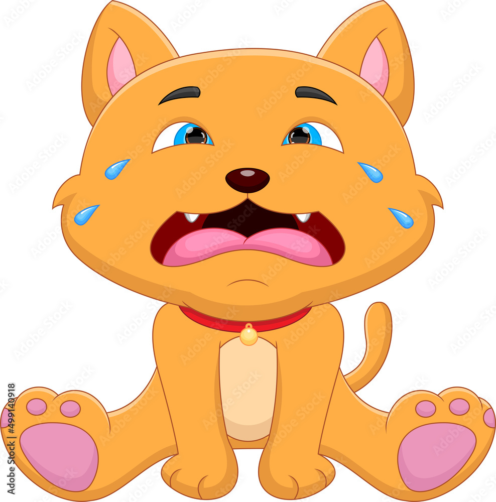 cartoon baby cat crying on white background Stock Vector | Adobe Stock