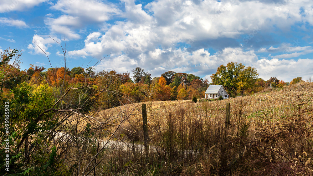 Rural autumn southern Illinois countryside landscape with aging ...