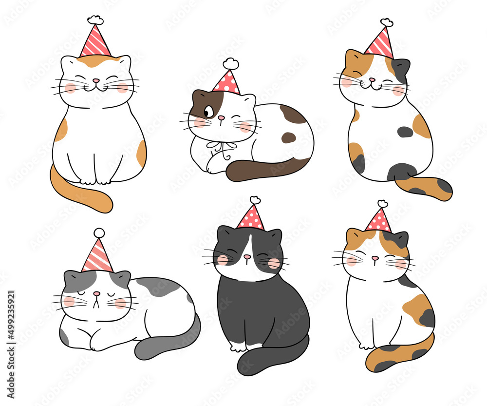 Cat Party Hat Drawing