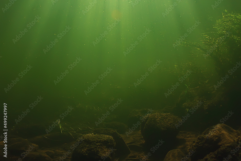 underwater fresh water green background with sun rays under, water ...