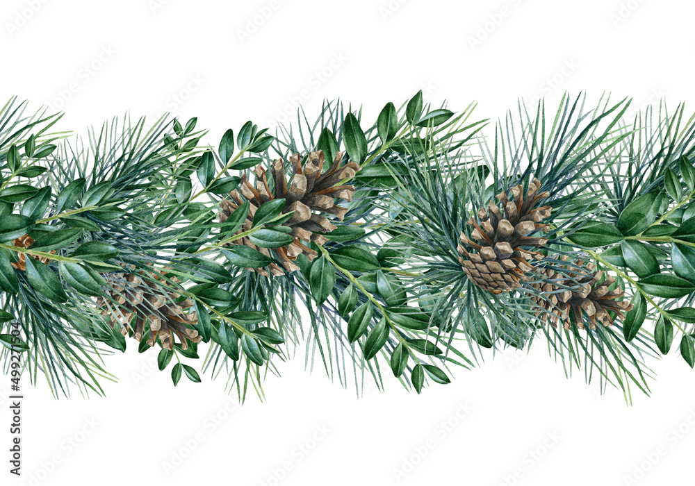 Pine and boxwood branch seamless border. Watercolor illustration ...
