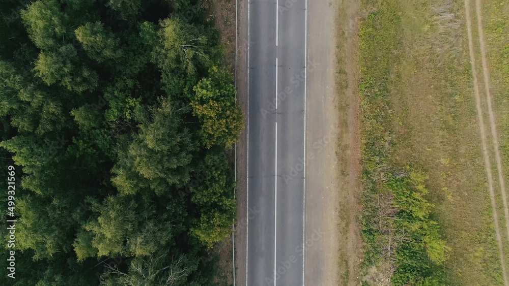Top view of dividing line of forests and fields. Scene. Cars are ...