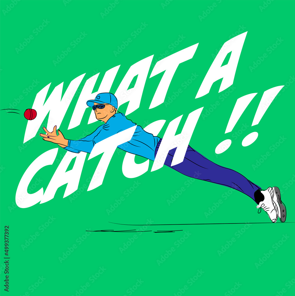 Concept of sportsman cricket fielder - diving catch in cricket Stock ...