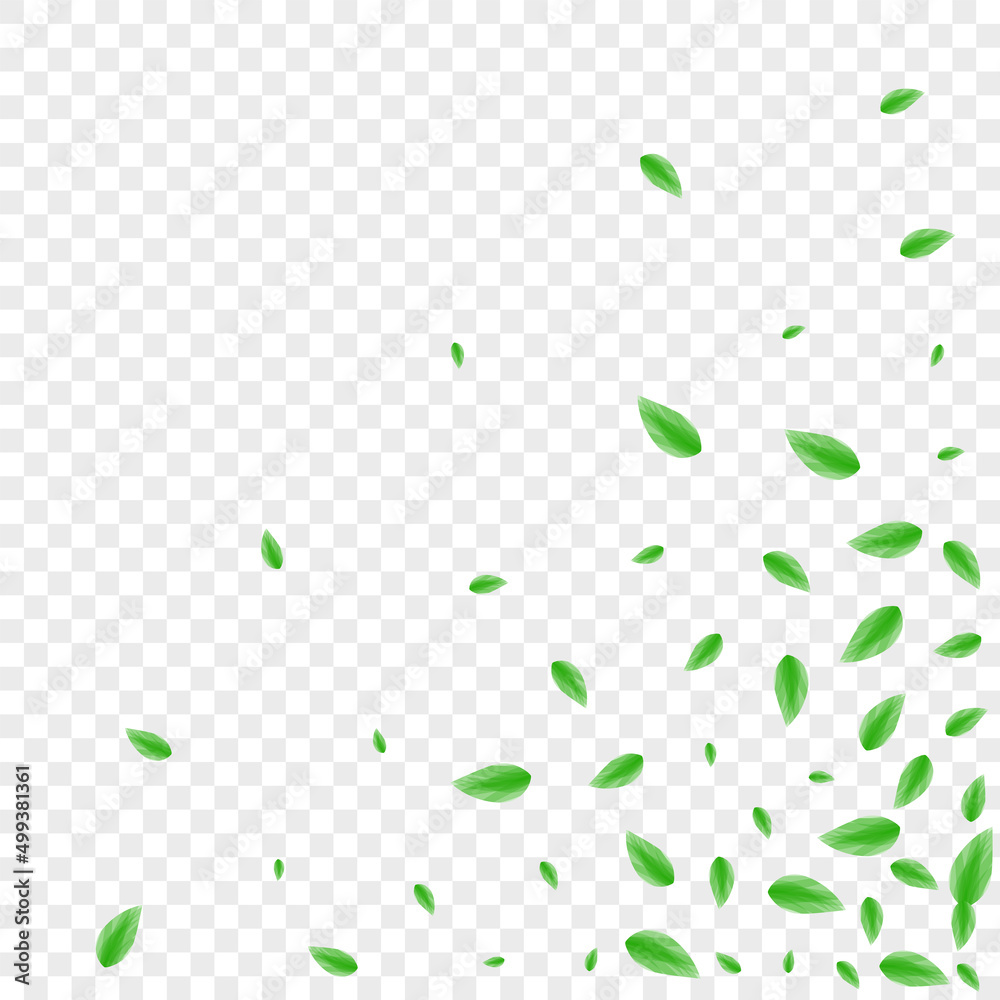 Light Green Greenery Background Transparent Vector. Foliage Agriculture ...
