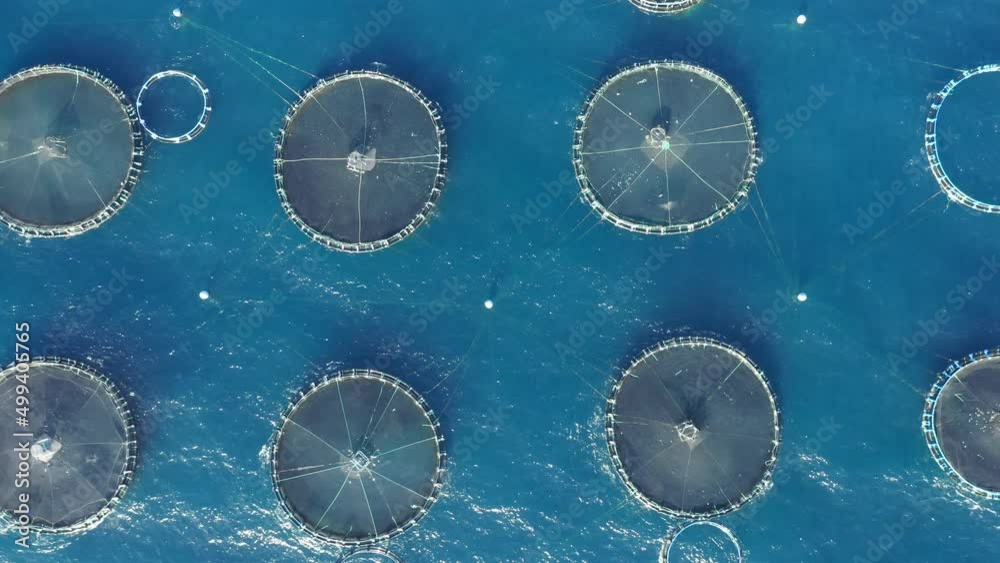 Aerial view of fish farm in open sea water. Aquaculture floating net ...