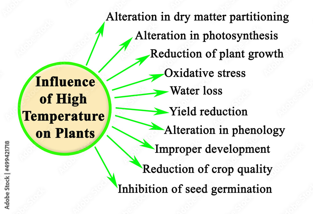 Influence of High Temperature on plants Stock Illustration | Adobe Stock