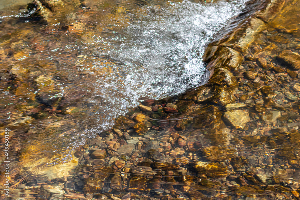 Nature of Western Ukraine. Mountains, rivers and forests. Shelter for ...