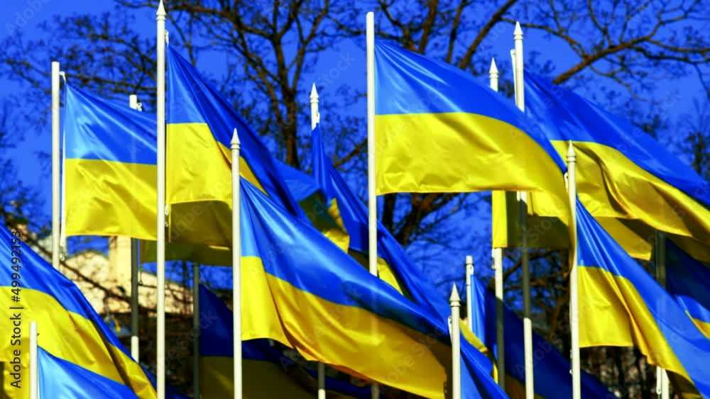 Ukrainian Flags flutter on wind over blue sky STANDWITHUKRAINE Stock ...