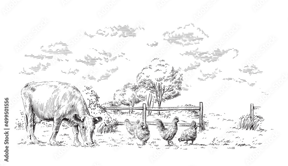 farm hand drawing sketch engraving illustration style Stock Vector ...