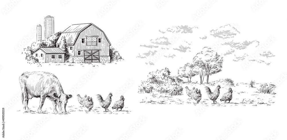 farm hand drawing sketch engraving illustration style Stock Vector ...