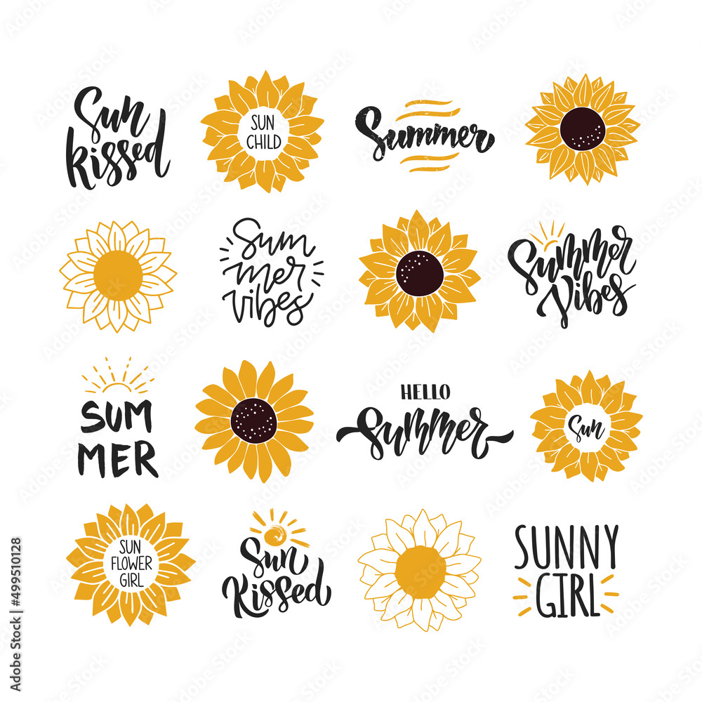 Summer Quotes With Sunflower Vector Illustration Hand Drawn Saying