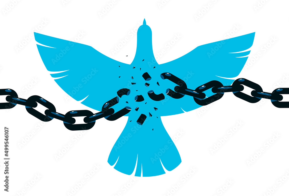 Bird flying up into sky and broken chain in front freedom concept ...