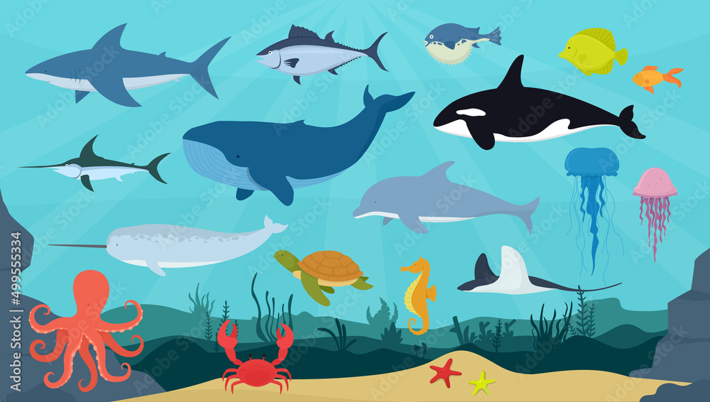 Vector set of ocean animals and fish. Underwater world. Shark, dolphin ...