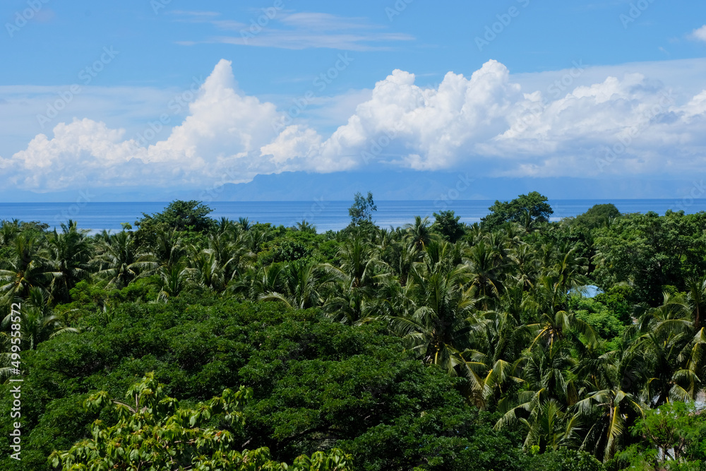 The stunning tropical Atauro Island covered in coconut palm trees with ...