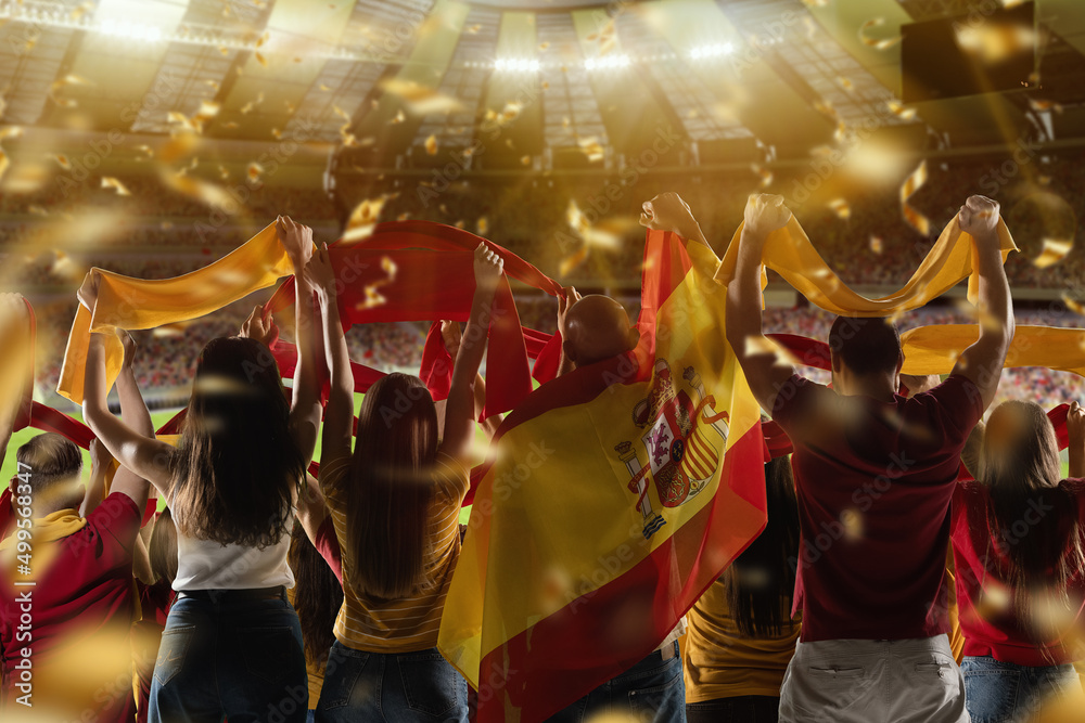 Back view of football, soccer fans cheering their team with state flags ...