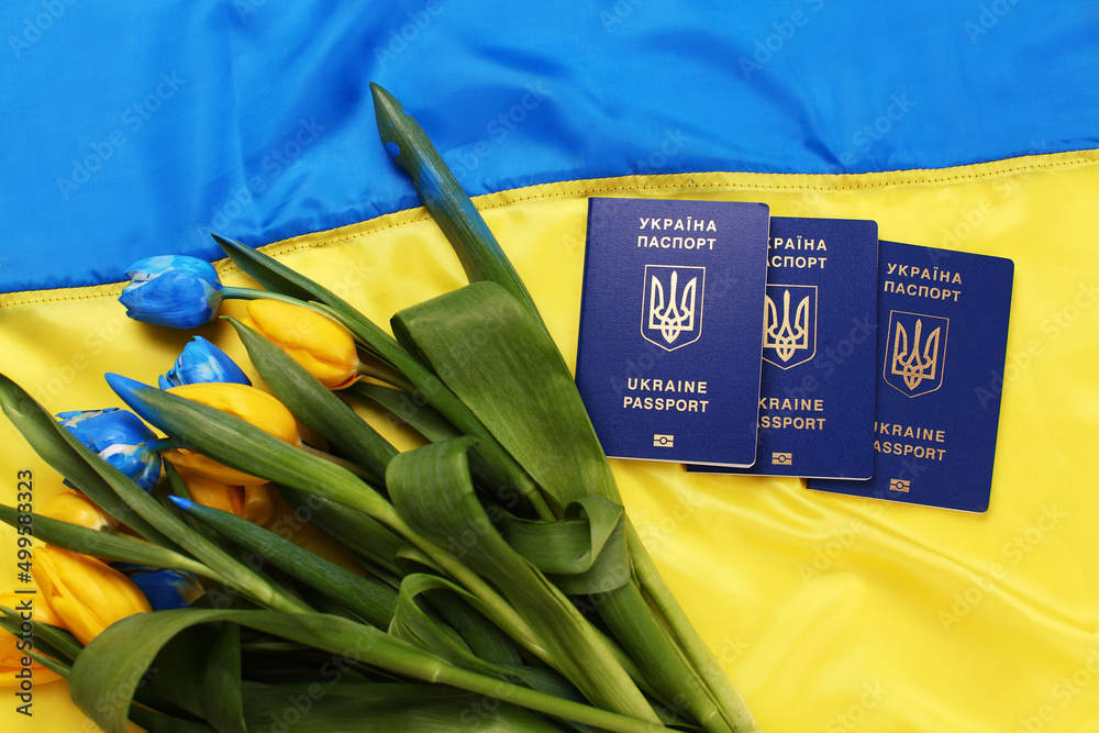 Ukrainian passport for traveling to other countries. Biometric ...