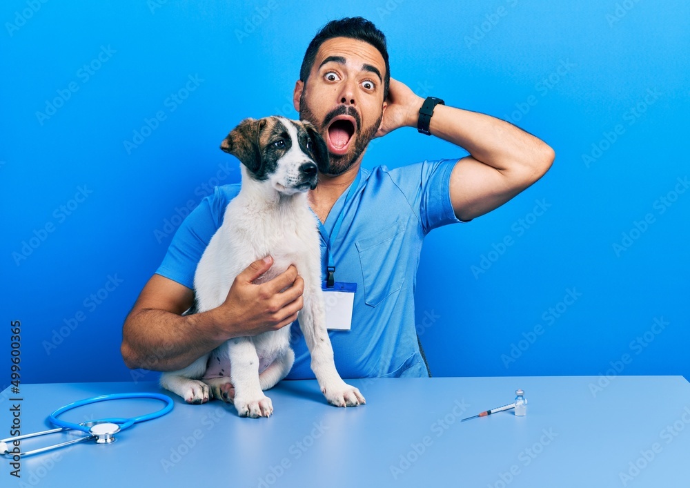 Handsome hispanic veterinary man with beard checking dog health crazy ...