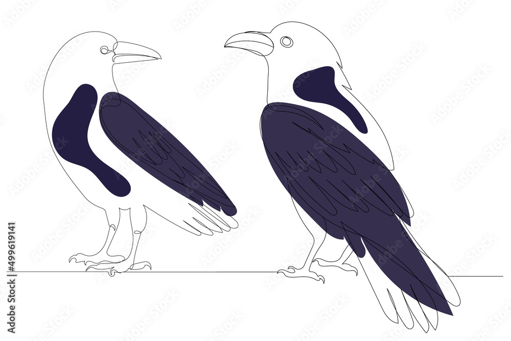 crows drawing by one continuous line, sketch, vector Stock Vector ...