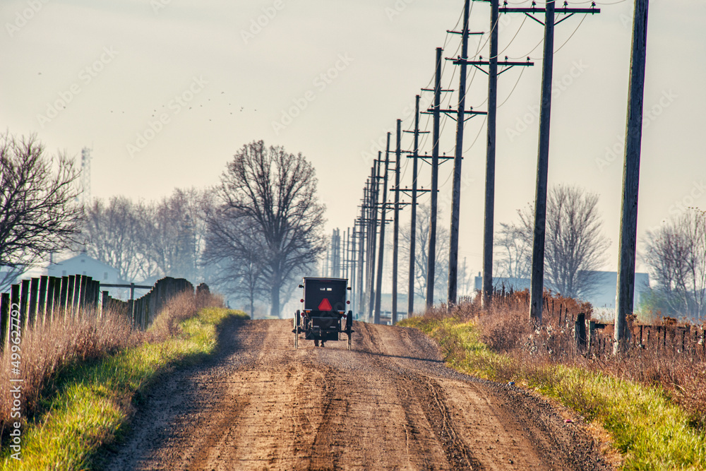 Amish Buggy and Telephone poles or power lines Stock Photo | Adobe Stock