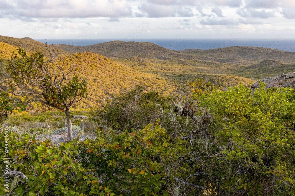 Sunrise over Christoffel National Park during the hike up to the top of ...