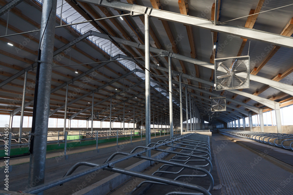 Construction of a large barn on the farm. Modern barn for dairy cows ...