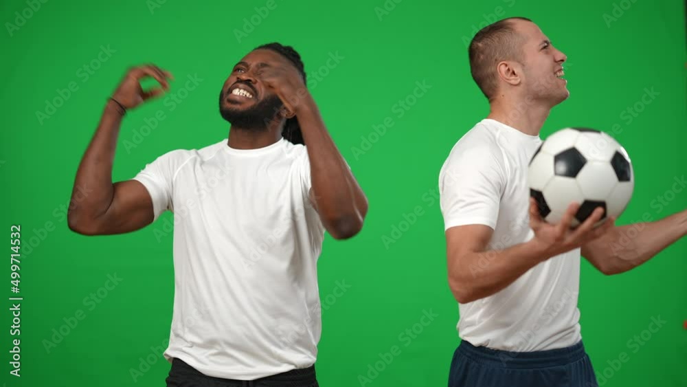 Vidéo Stock Inspired satisfied African American and Caucasian men ...