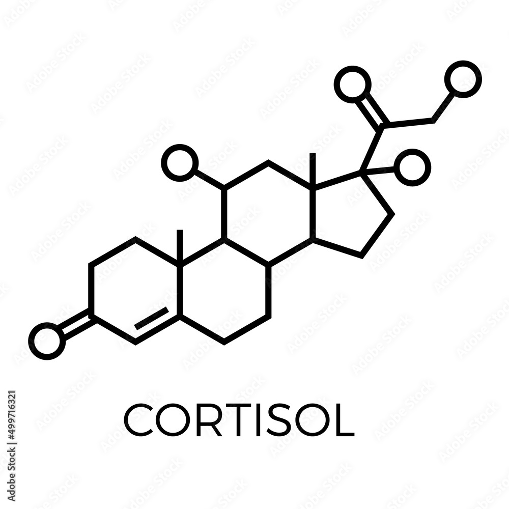 Vector thin line icon of cortisol molecular structure. Chemical formula ...