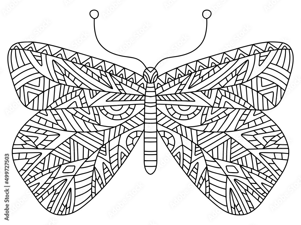 Decorative geometry hand-drawn butterfly colouring page vector ...