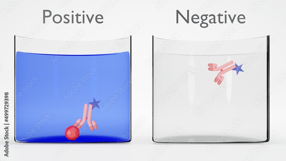 3D illustration of direct ELISA, immunoassay. Cross section of well ...
