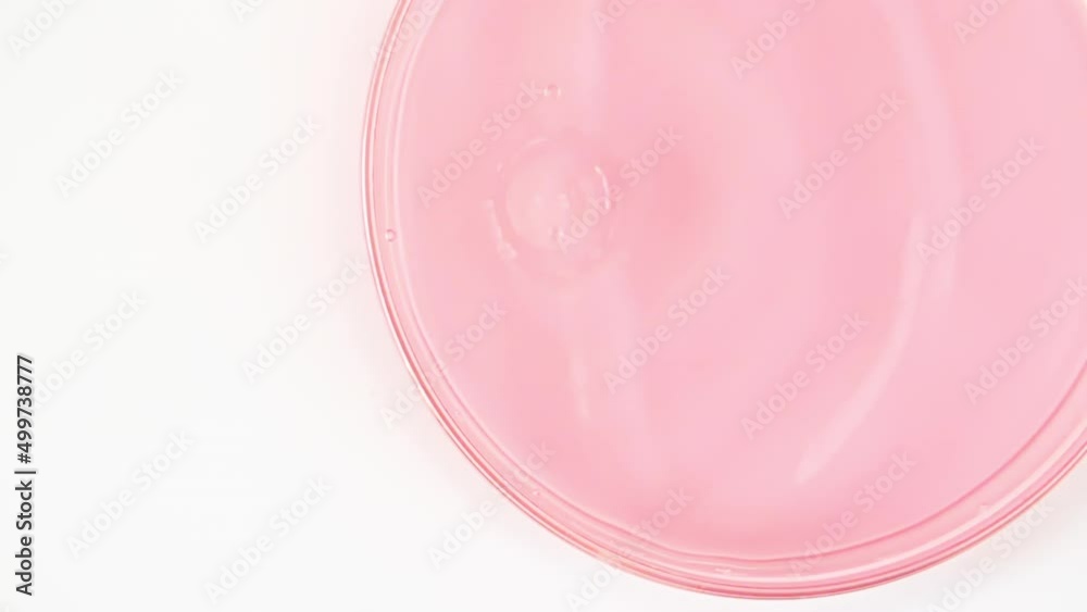Transparent Pink Cosmetic Liquid Dripping in a Glass bowl of Petri ...
