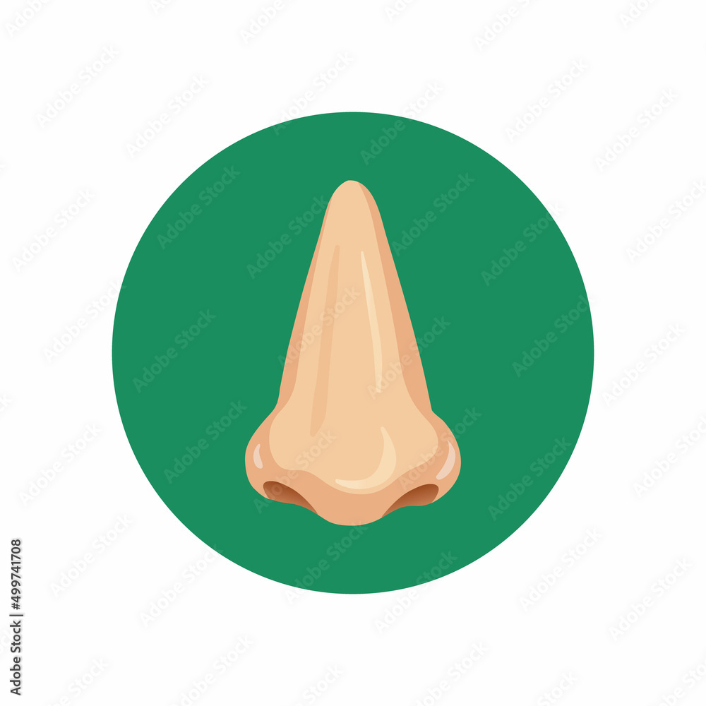 Human nose clip art vector illustration icon design. Realistic nose in ...