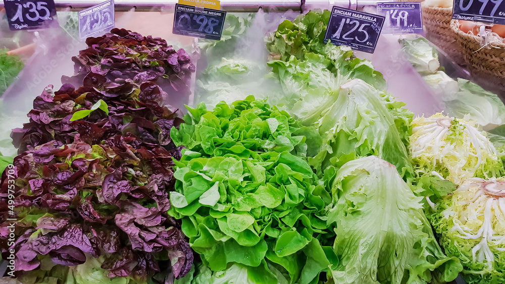 Food market with a variety of fresh greenery and vegetables with damp ...