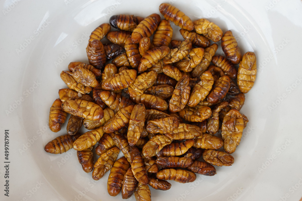 Closeup fried silk worms on white plate. Concept : insects eating ...