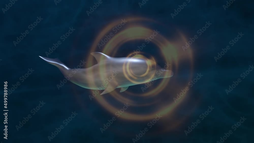 Dolphin emitting sonar , echolocation signals. Cetacean sends signals ...