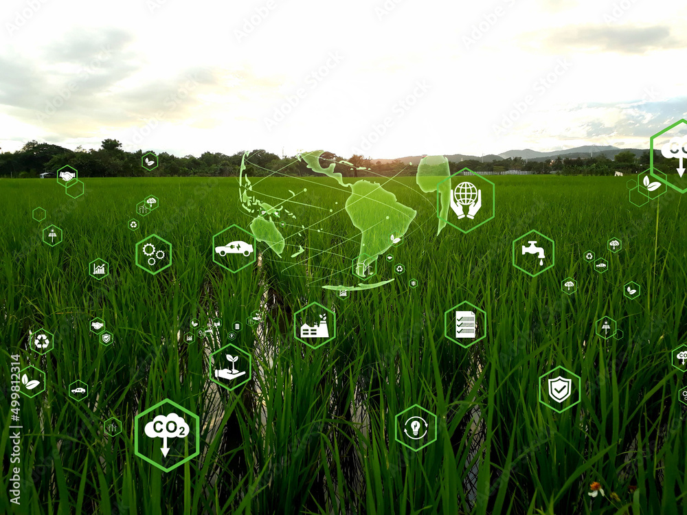 Net Zero - Icon with Net Zero on green rice fields. Net Zero and Carbon ...