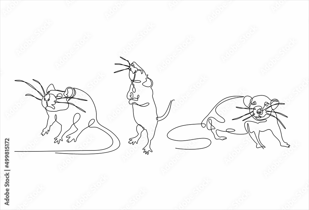 Set of rats in continuous line art drawing style. Mouse minimalistic ...