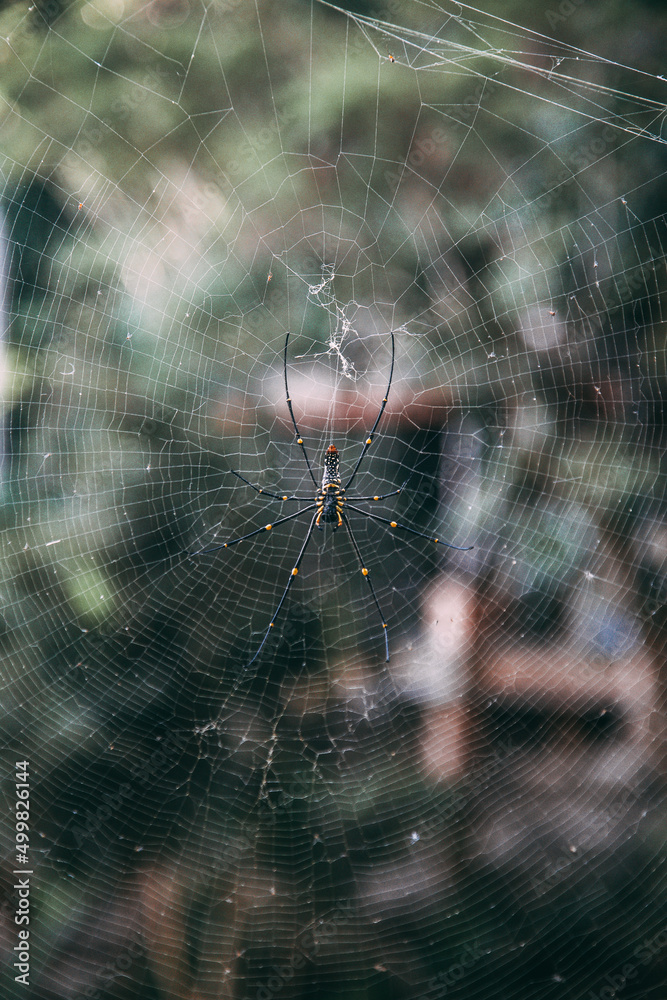 Foto de Wat Pha Lat or Wat Palad, old temple in jungle, Chiang Mai ...
