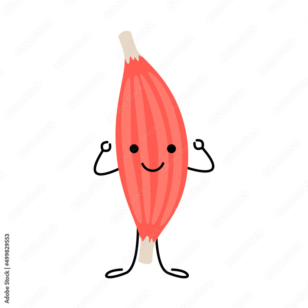 Happy strong muscle cartoon character, demonstrate strength and power ...