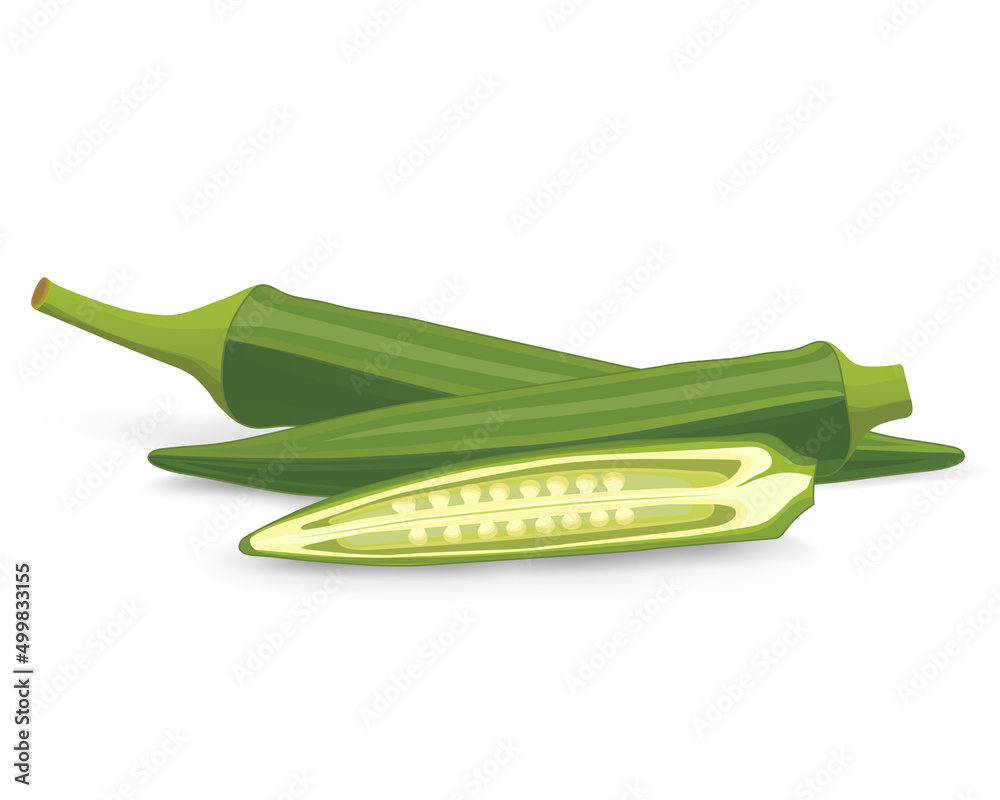 Okra vegetable vector illustration with half piece of okra vegetable ...