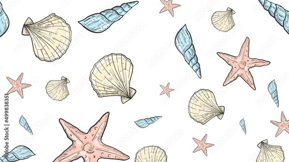 Animated Hand Drawn Seashells illustrations. Vintage Marine set pattern ...