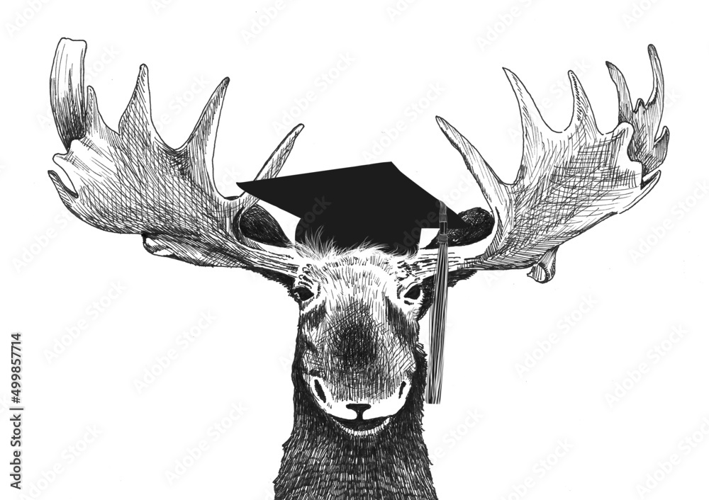 funny graduation sketch of moose with graduation cap and tassel, hand ...