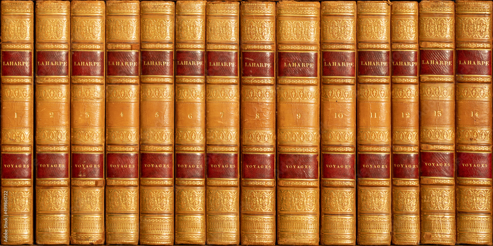 Row of old books in leather binding with gilt titles - 18th century ...