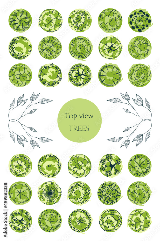 Trees for the master plan. Tree for architectural floor plans ...