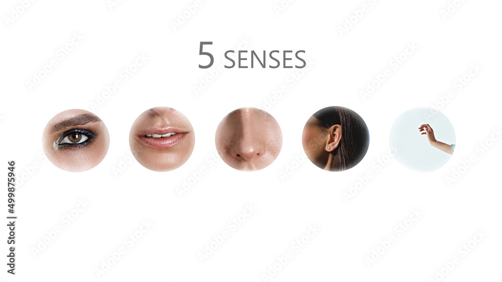 A bunch of 5 senses - hearing, smell, taste, touch, sight. Set of human ...