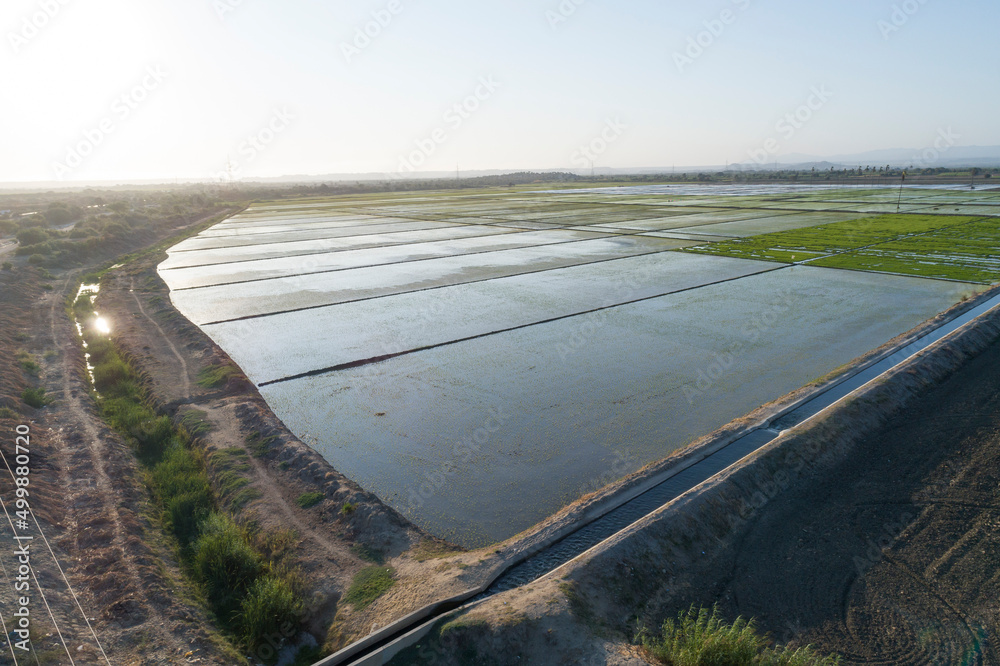 Piura, Peru: Aerial view of rice fields in the Chira river valley, very ...
