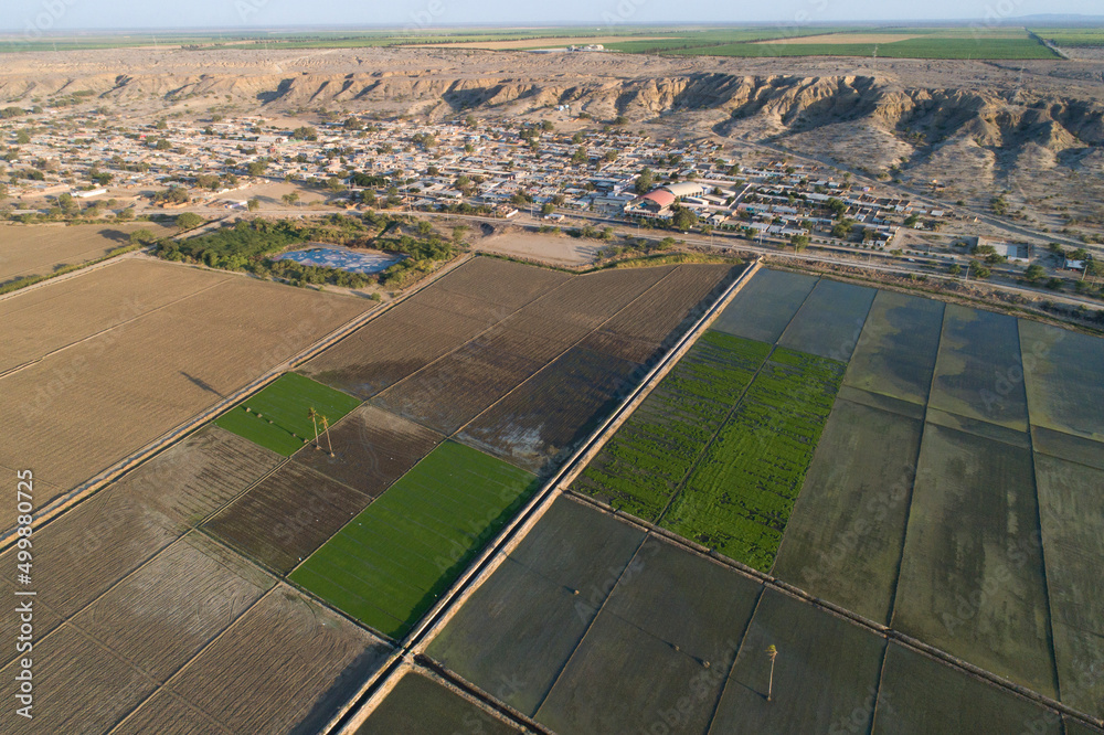 Piura, Peru: Aerial view of rice fields in the Chira river valley, very ...