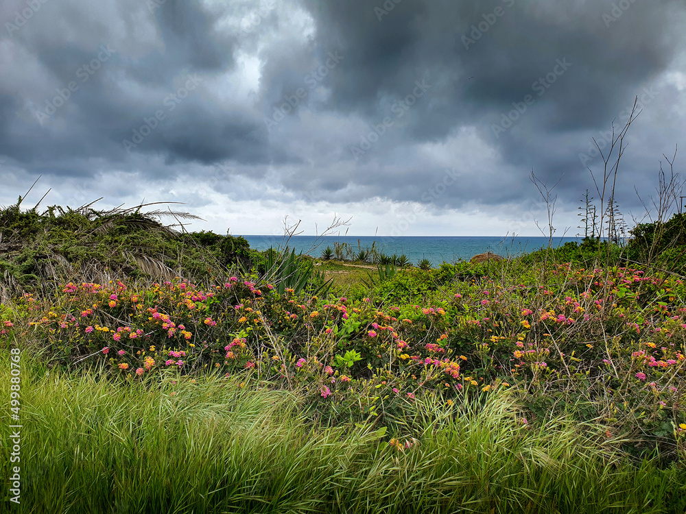 Vega Baja del Segura - Torrevieja - Paisajes de Cabo Cervera y espacio ...