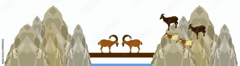 Two bighorn male goats on chump fighting vector illustration isolated ...
