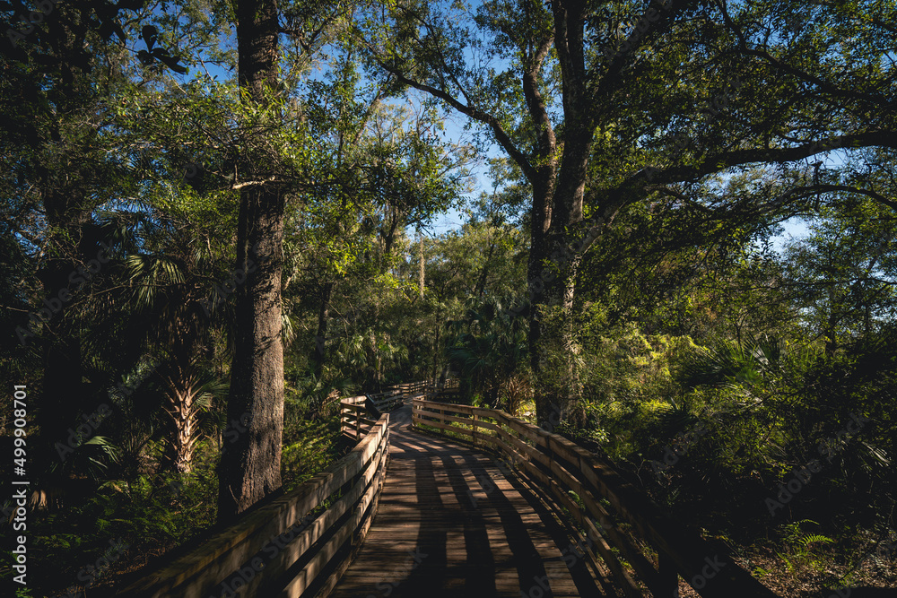 Boardwalk at Lake Lotus nature park in Altamonte Springs, a suburb of ...